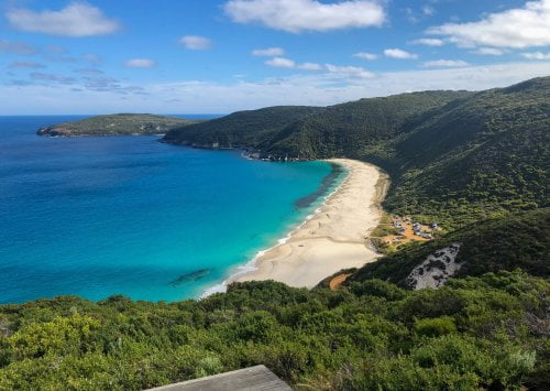 Albany - Fly2 Health