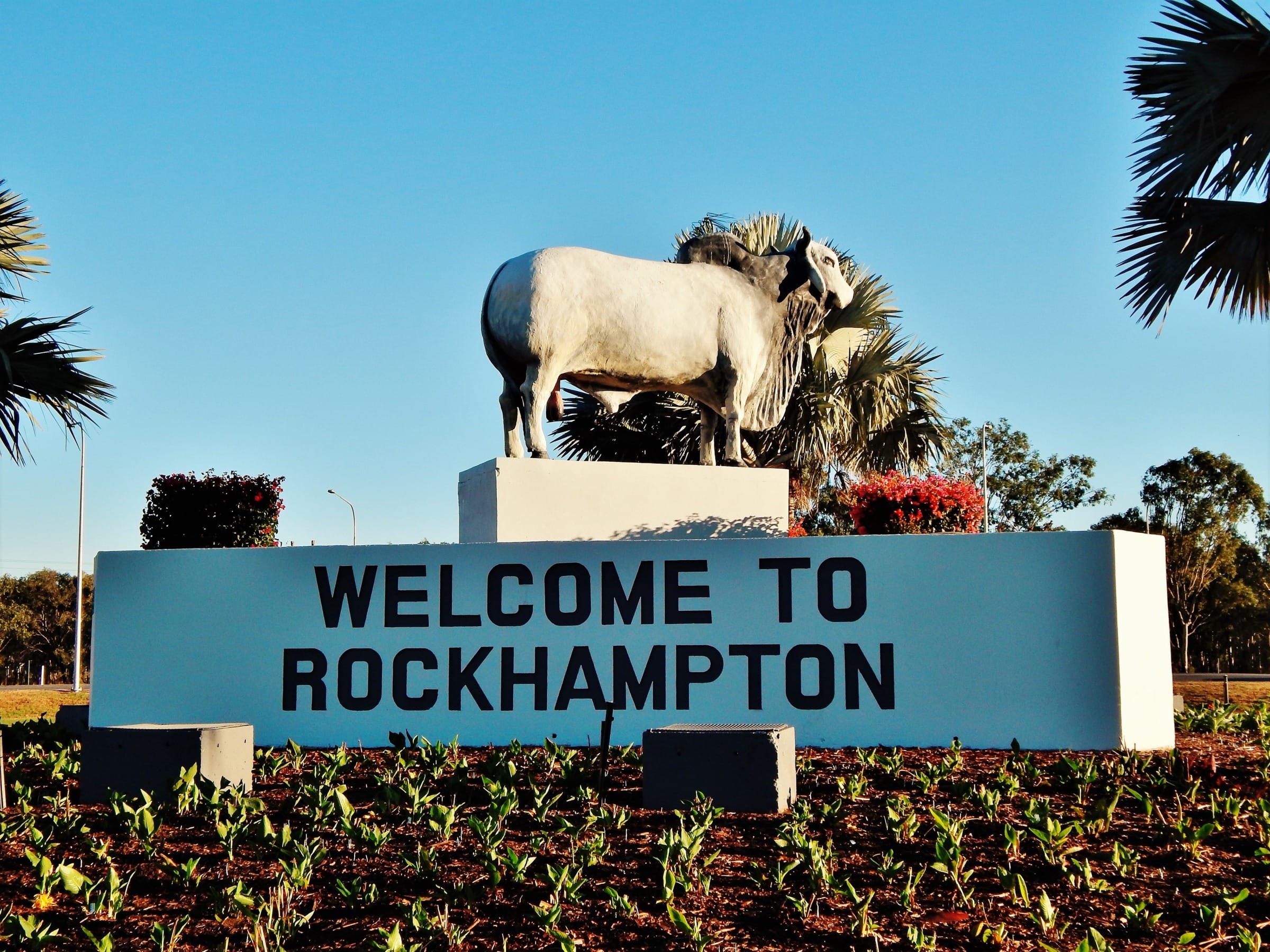 Rockhampton - Fly2 Health