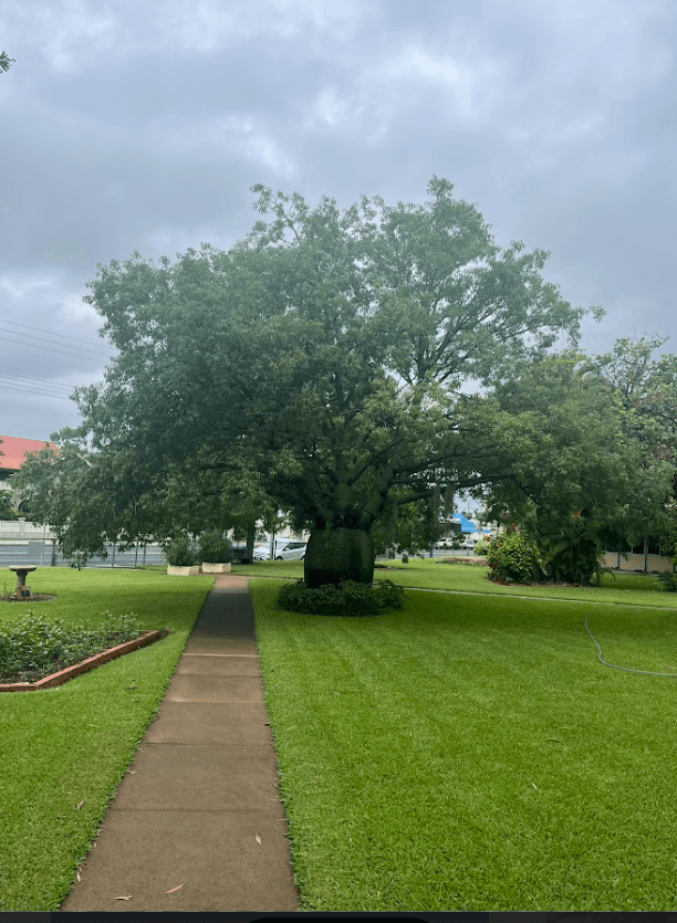 Gayndah - Fly2Health