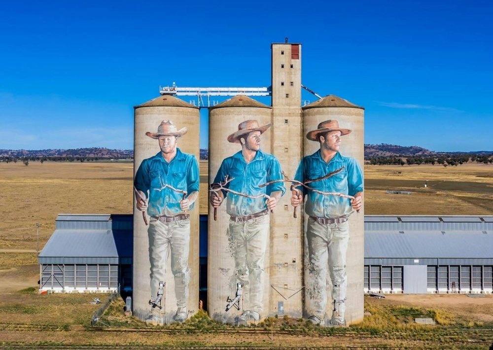 Barraba - Fly2Health